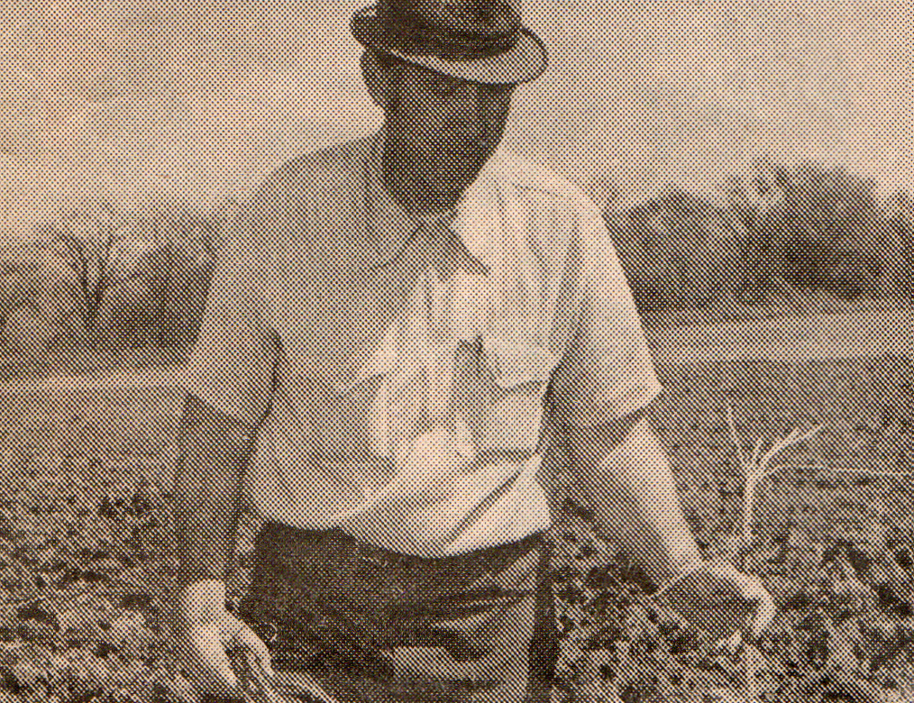 Frank Emmolo 1973 - Emmolo
