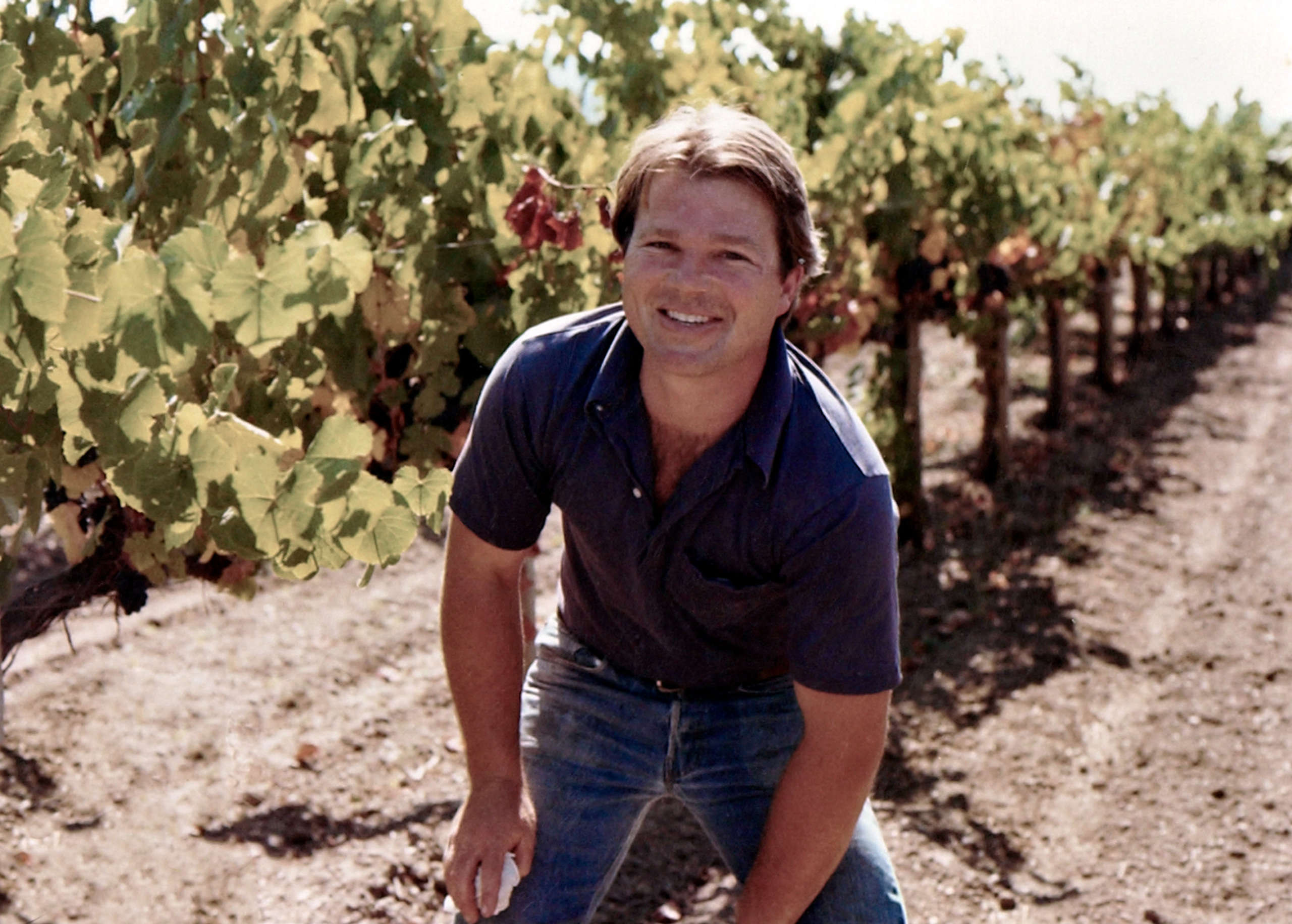 Chuck Wagner in Vineyards 1973 - Emmolo